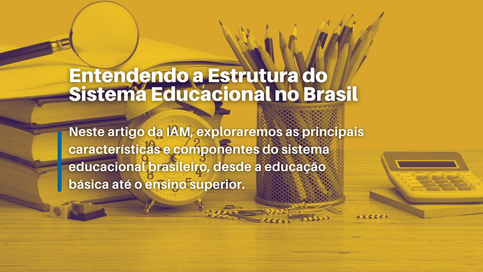 Entendendo a Estrutura do Sistema Educacional no Brasil - IAM ...